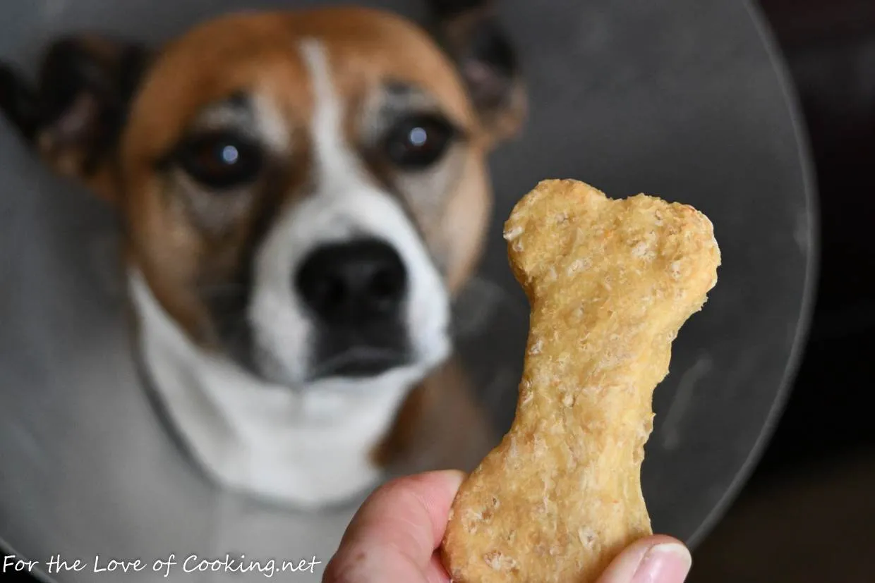 Chicken, Cheddar, and Brown Rice Dog Treats | For the Love of Cooking