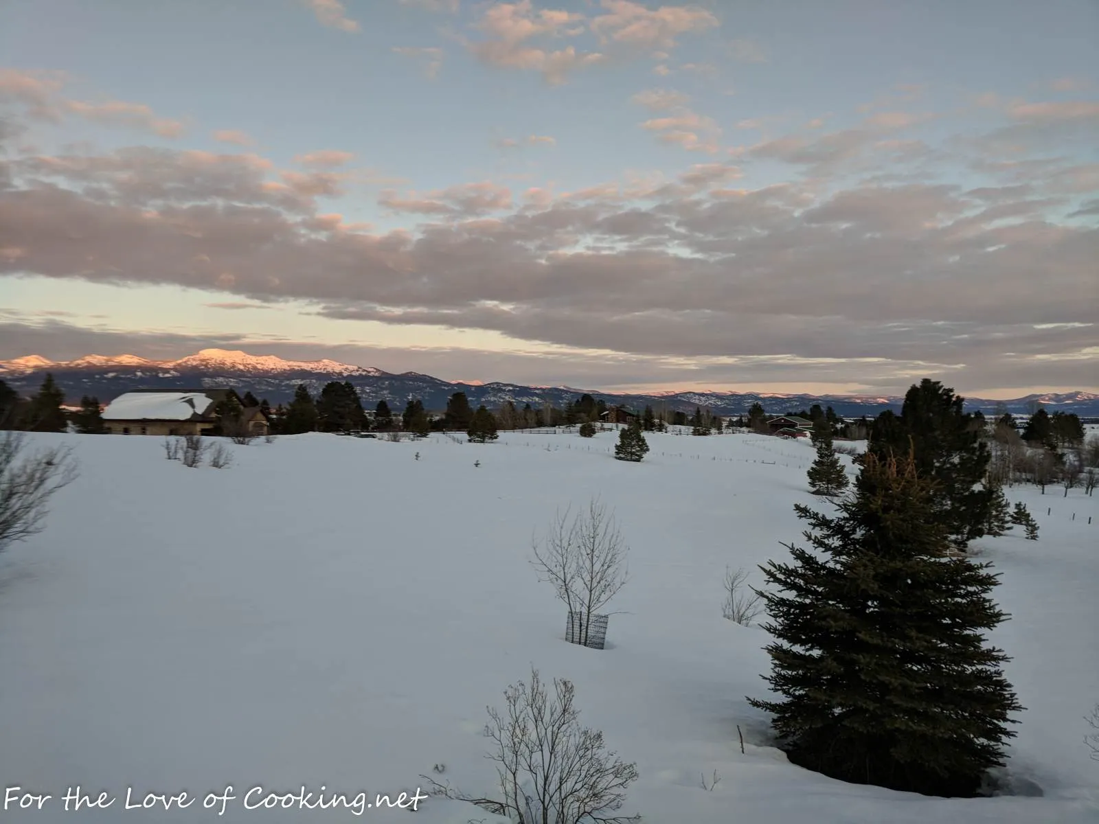 Spring Break 2019 | For the Love of Cooking